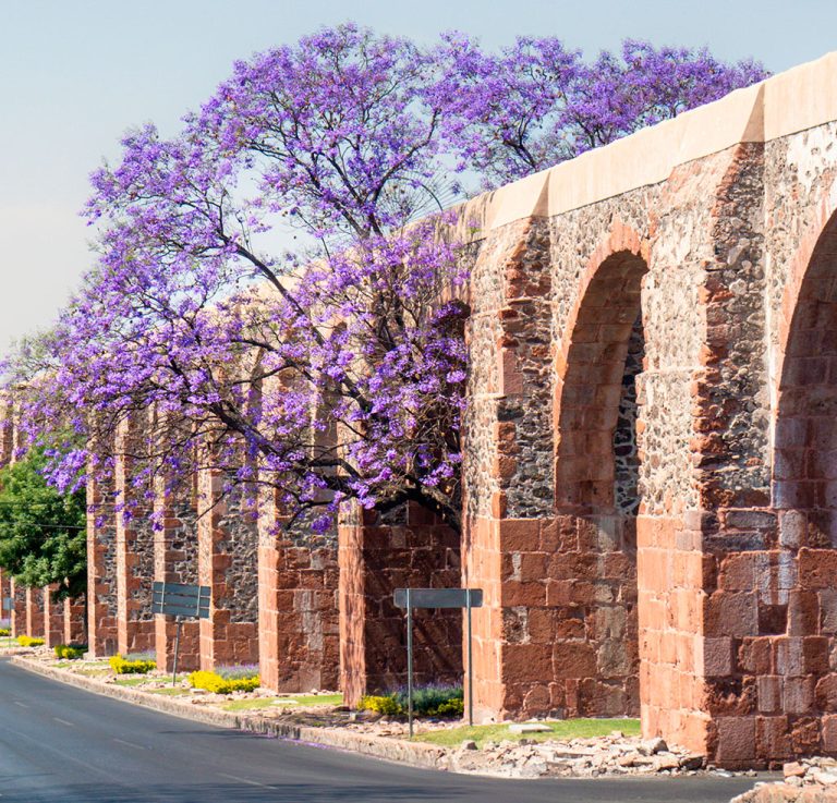 Departamentos en Venta Querétaro - Atlas Desarrollos